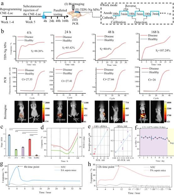 复旦大学团队最新NC！在可穿戴微针上使用基于四面体纳米结构的NgAgo对超痕量核酸进行长期监测 - 知乎