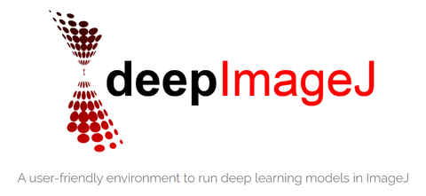 ImageJ实用教程汇总 - 知乎