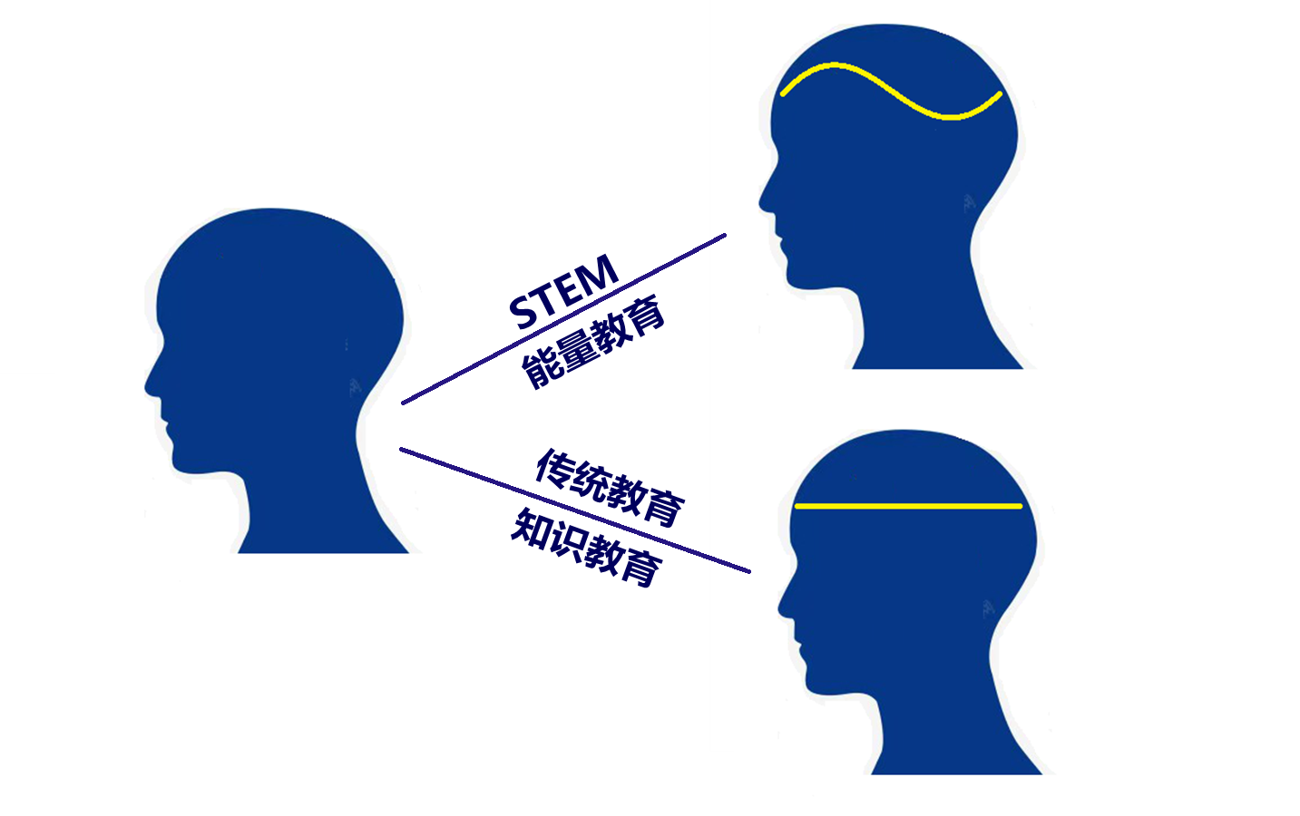 什么是STEM教育？ - 知乎