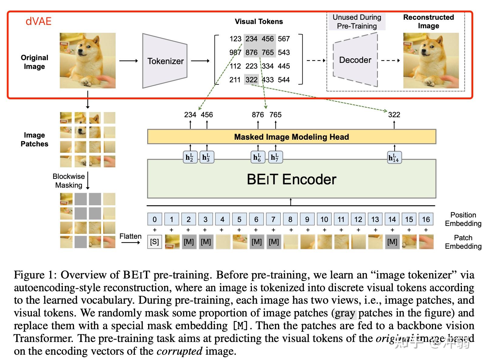 一篇文章搞懂iBOT - 知乎