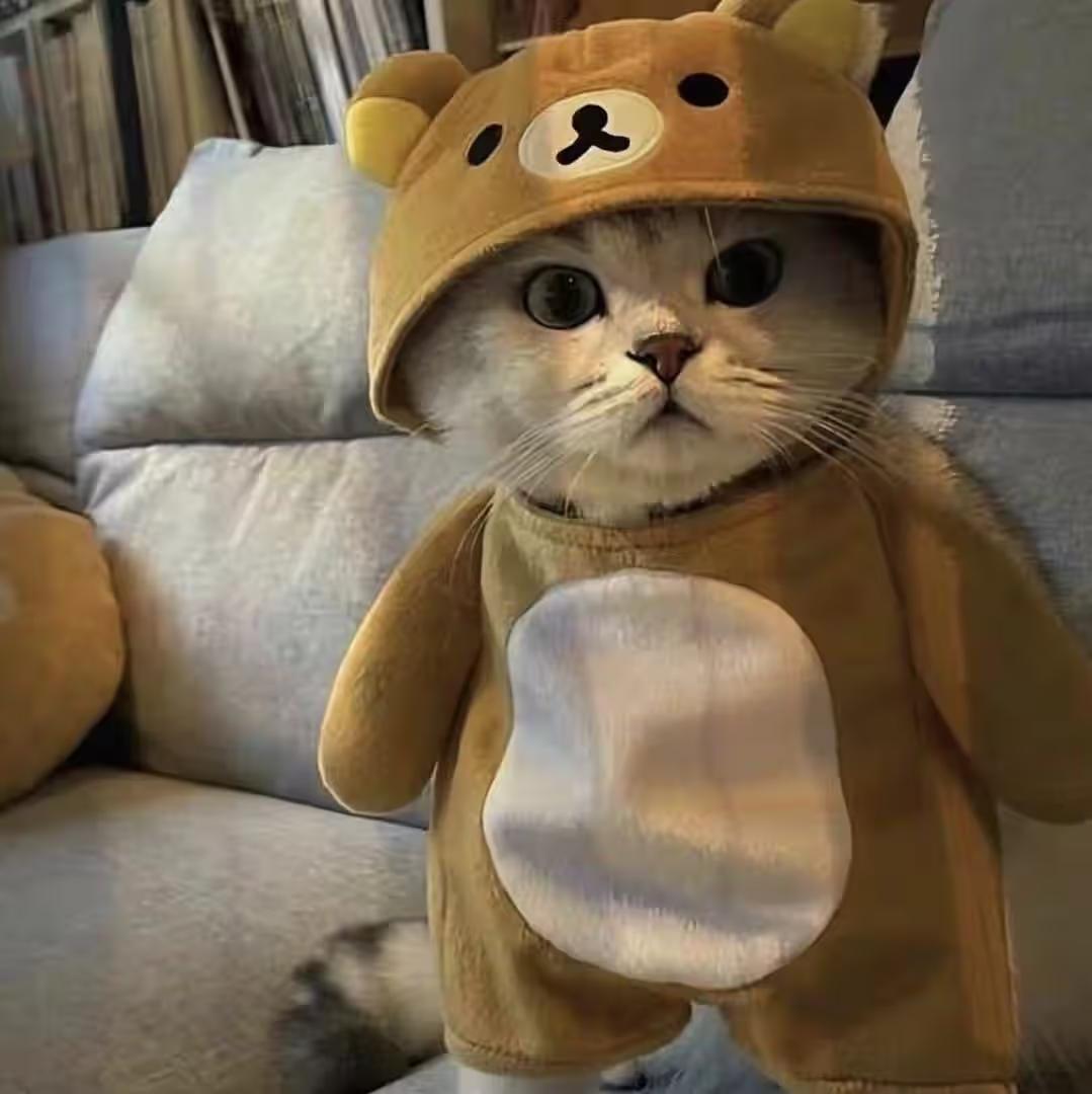 Web Api 之 Media Source Extensions: 实现流式音频播放与动态可视化 - 知乎