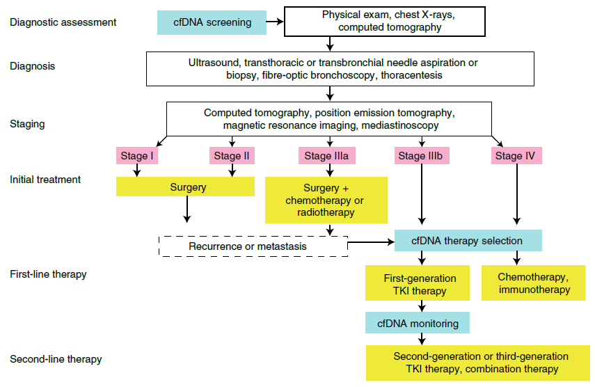 Nature | 机遇和挑战，cfDNA强势加入癌症早筛技术行列 - 知乎