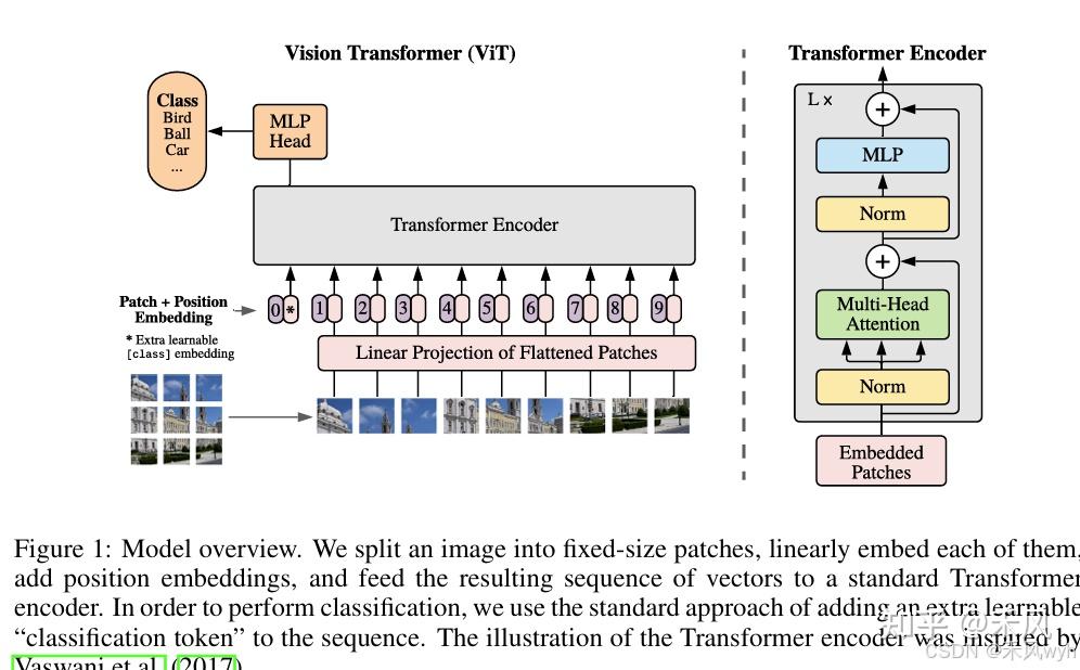 【深度学习】深刻理解ViT（Vision Transformer） - 知乎
