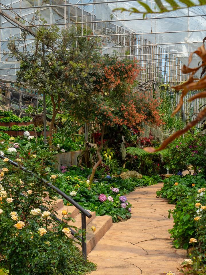 利用Obsidian搭建自己的Digital Garden - 知乎