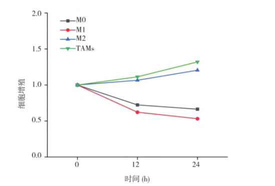 波形蛋白-SMCC/SMCC-PEG-Rha/E-cadherin-SMCC/N-cadherin-SMCC - 知乎