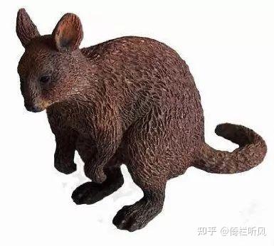 宏基因组实战:基因注释Prokka - 知乎