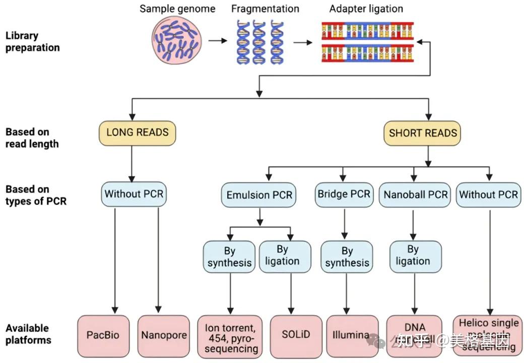 下一代测序技术（NGS）在宏基因组学研究的广泛应用 - 知乎