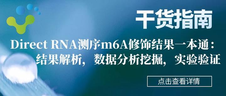 干货指南｜Direct RNA测序m6A修饰结果一本通：结果解析，数据分析挖掘，实验验证 - 知乎