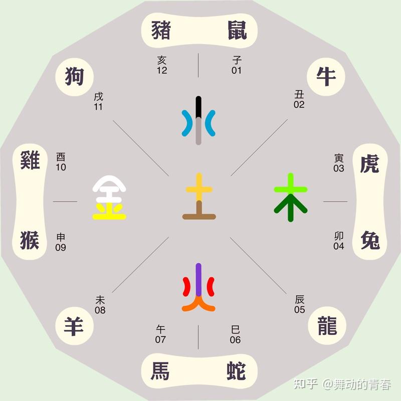 12时辰与五行及生肖的关系 - 知乎