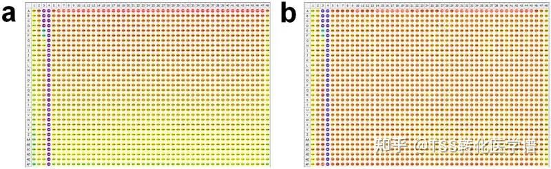 基于 AlphaScreen 的检测实例分析：超高通量筛选具有挑战性酶和蛋白质-蛋白质相互作用的小分子抑制剂 - 知乎