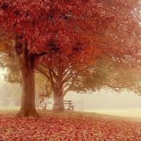 IEEE Transactions on Robotics，投稿过程交流 - 知乎