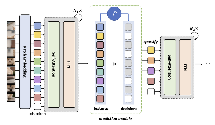 DynamicViT: Efficient Vision Transformers with Dynamic Token Sparsification - 知乎