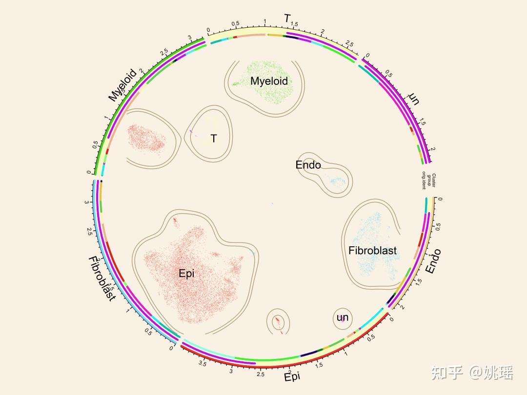 scRNA复现-惊艳的细胞注释umap图 - 知乎