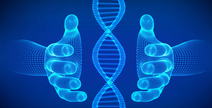 GeneGPT 利用生物医学信息工具增强大型语言模型 - 知乎