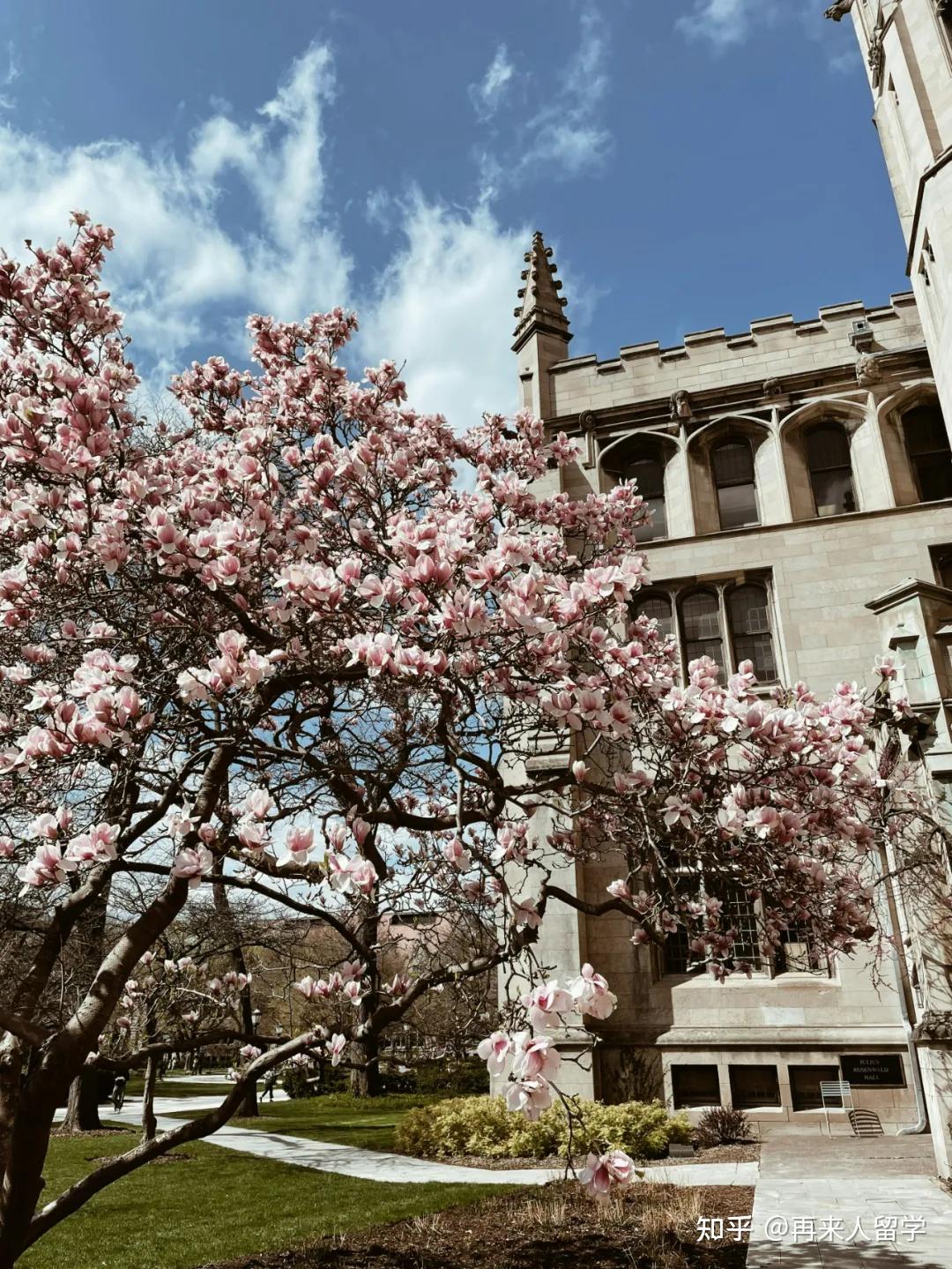 爆！美研顶级社科专业UChicago MAPSS offer来啦！并获1w刀奖学金！性价比非常高的PhD预备项目！ - 知乎