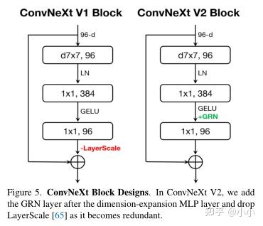CNN（十二）ConvNeXtv2 - 知乎