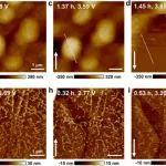 JACS：形貌对Li2O2分解位点影响 - 知乎
