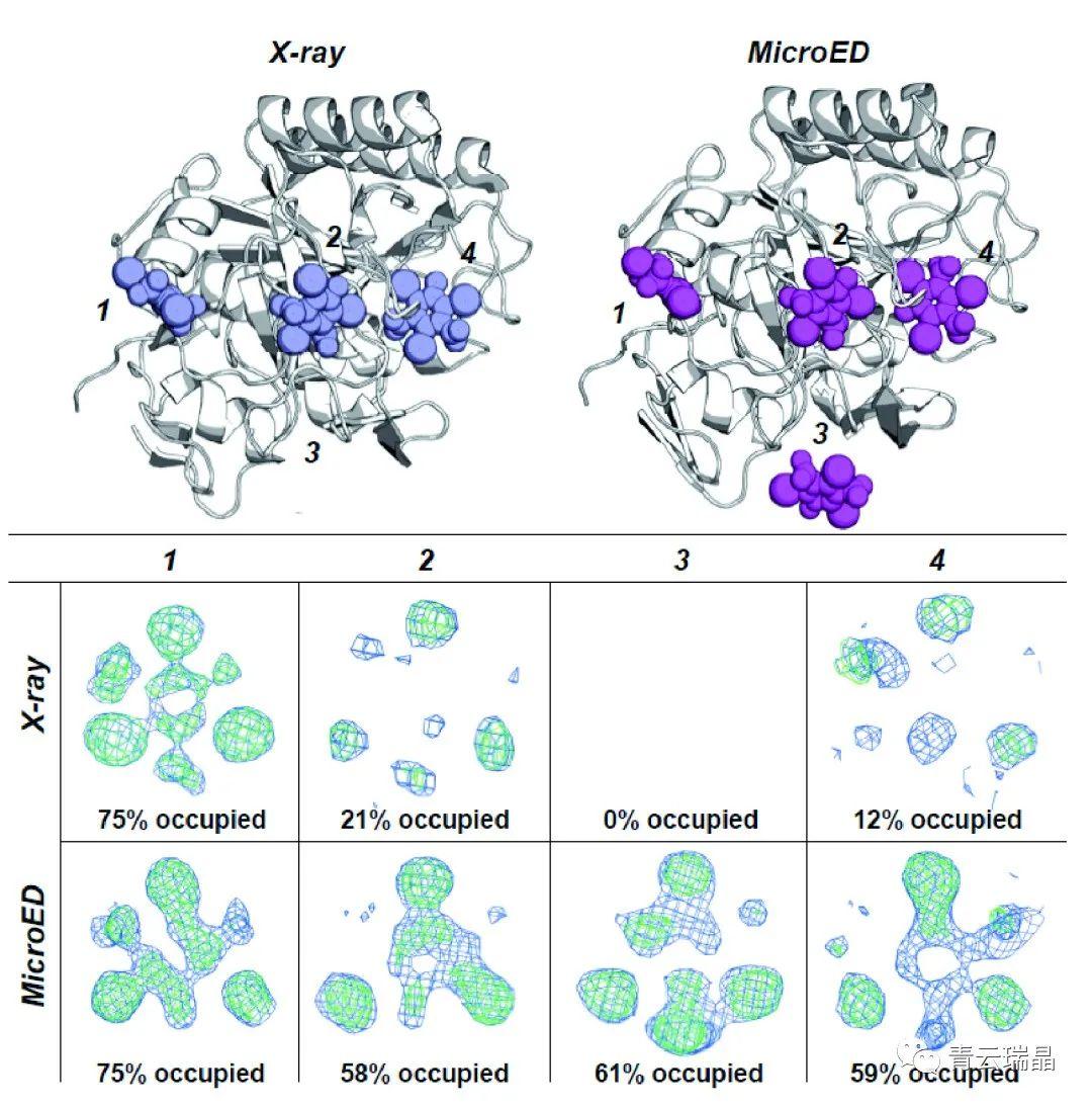 结构生物学技术| MicroED能为共晶结构解析带来什么？ - 知乎