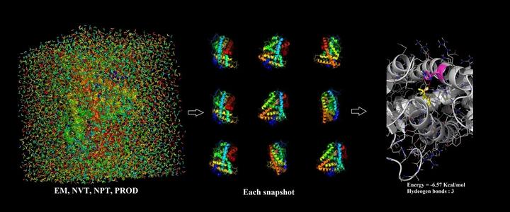 NAMD分子动力学入门——配置文件 - 知乎