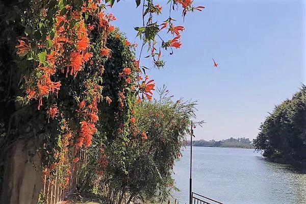 《网络工程师的Python之路》（ping实验3，ping3模块，华为） - 知乎