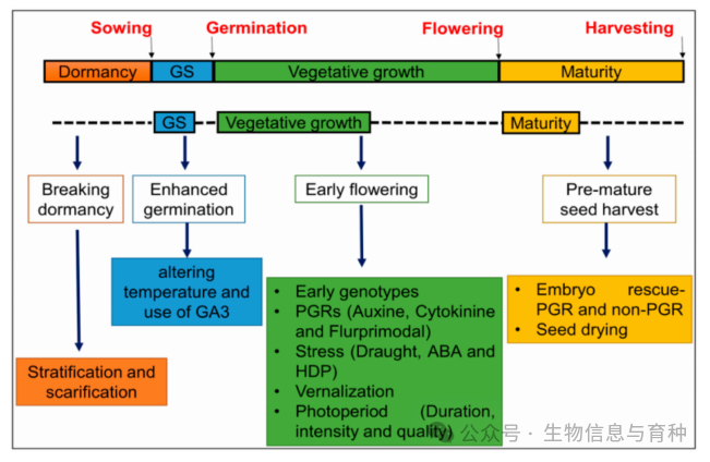 何为快速育种（Speed Breeding）？ - 知乎
