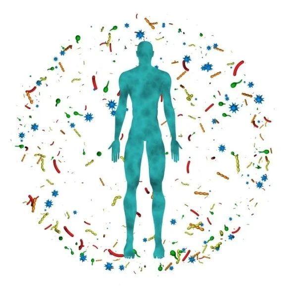 Nat Comm | 华中科技大学王晨辉团队揭示TAGAP参与抗真菌免疫的分子机制 - 知乎