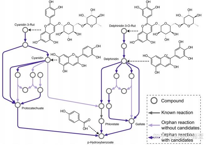 Nature子刊重磅：东京理科大学团队开发DeepRES，AI算法让'孤儿酶'发现效率提升100倍！ - 知乎