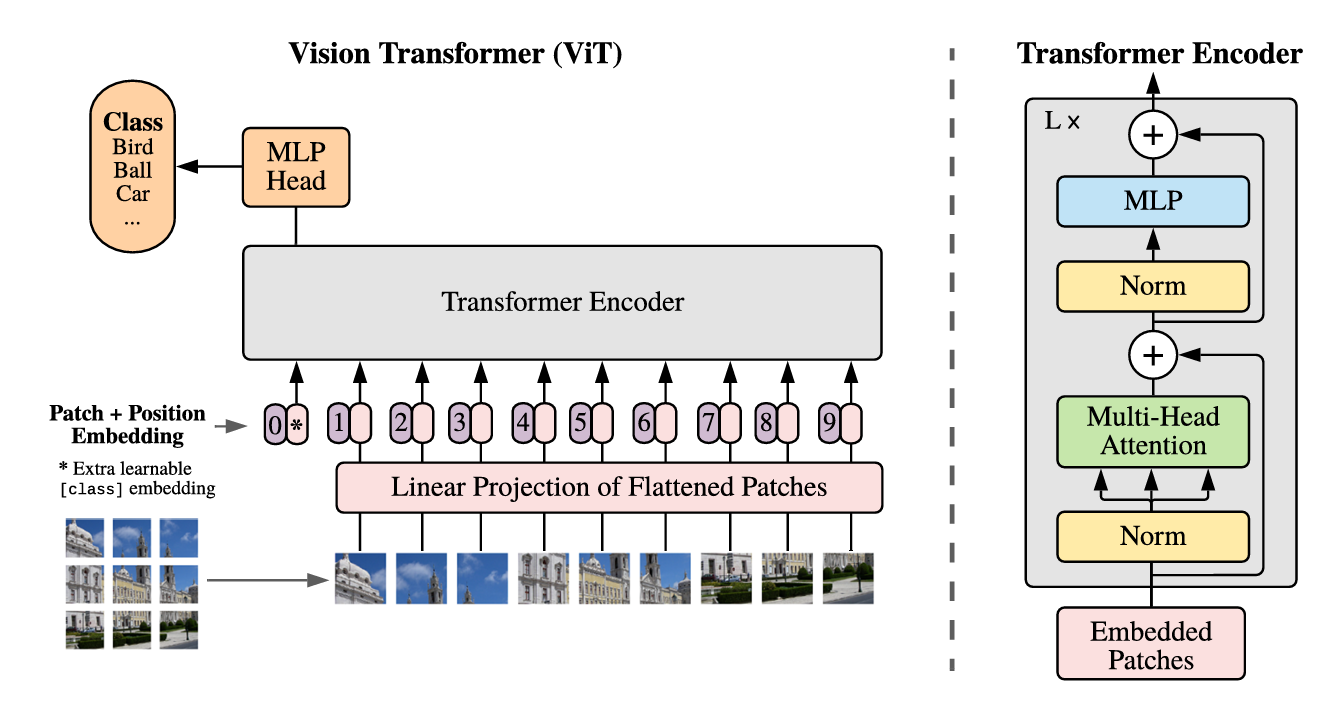 逐步解析Vision Transformer各细节，附带源码与微调讲解，让你不再担心只会原理而写不出来代码！（最后附原论文详细阅读）~ - 知乎