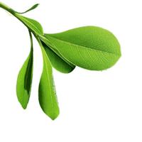 LaTeX3 系列教程之二：LaTeX3 基本概念 - 知乎