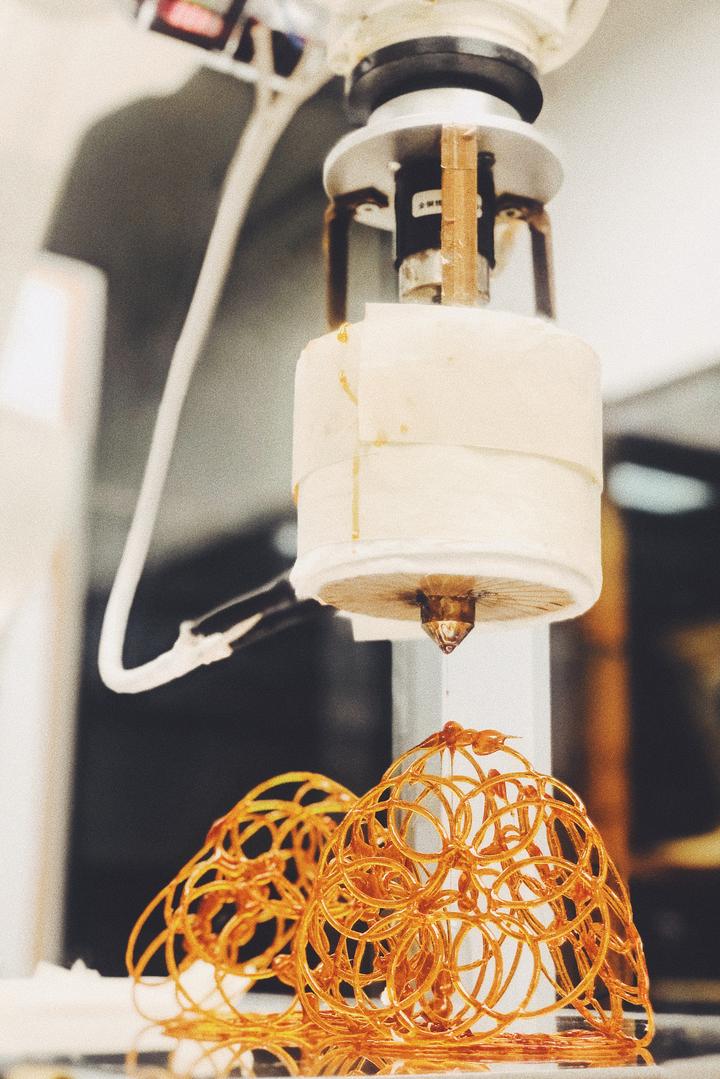 Grasshopper_Parakeet - 知乎