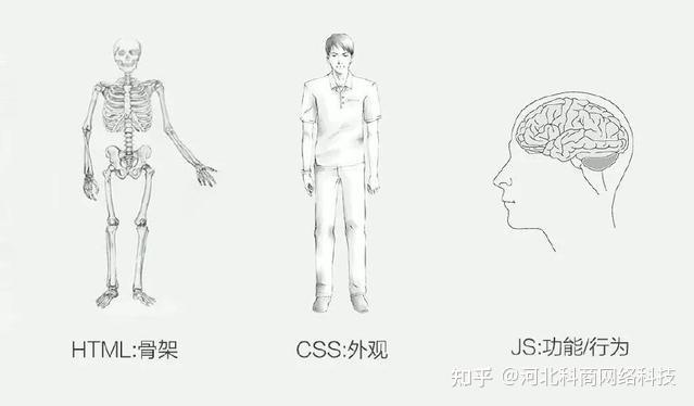 5分钟看懂H5是什么，及H5的应用场景举例。 - 知乎