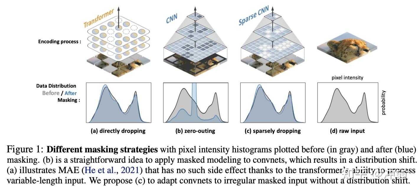 transformer和cnn有什么区别？ - 知乎