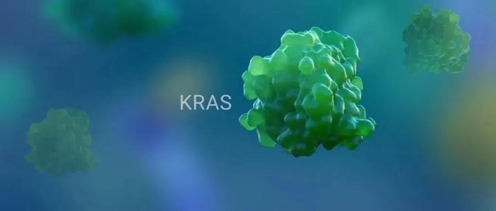 一文读懂 KRAS- MedChemExpress - 知乎