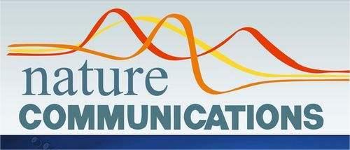 生物神经元高效算法加速大脑仿真，智源联合成果登上Nature Communications - 知乎