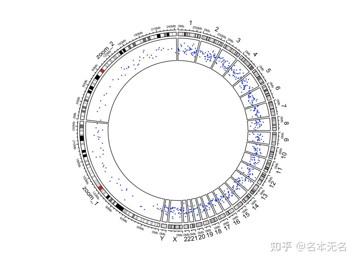 R 数据可视化 —— circlize 基因组初始化 - 知乎