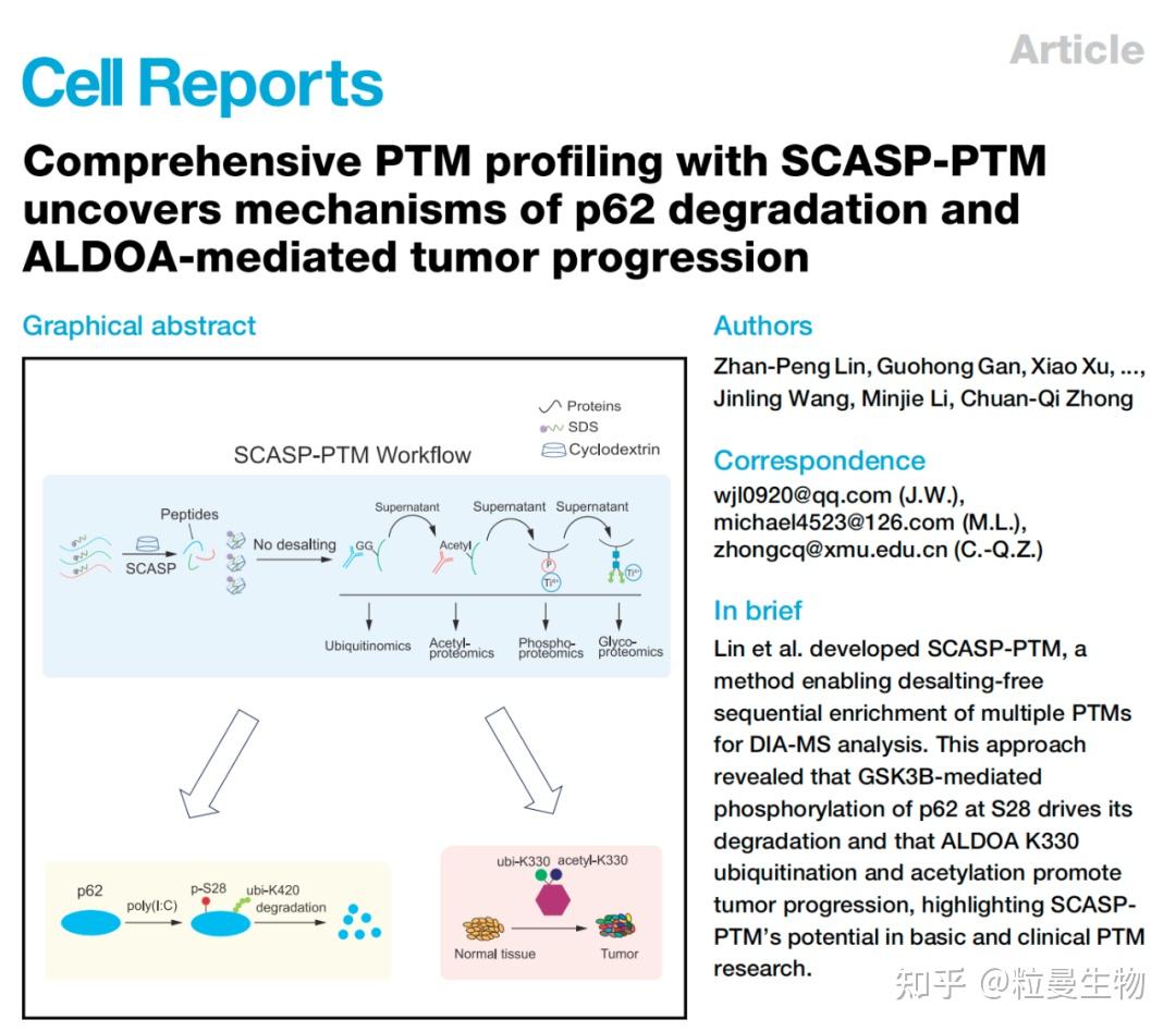 粒曼合作｜粒曼泛素化富集抗体产品助力《Cell Reports》SCASP-PTM技术的临床应用潜力 - 知乎