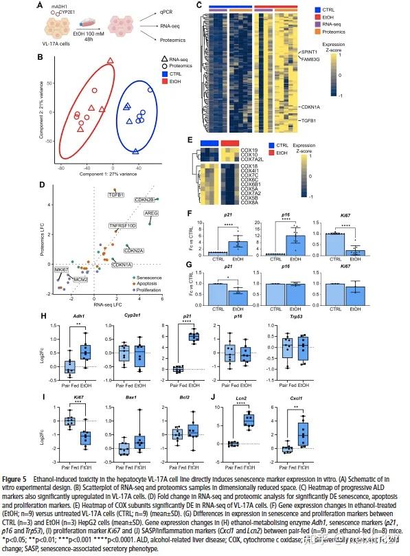 Gut（IF=23.1）|| 纵向配对肝活检和转录组分析揭示酒精相关性肝炎中细胞衰老的动态变化 - 知乎