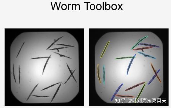开源科学工程技术软件介绍59 – 细胞图像分析软件CellProfiler - 知乎