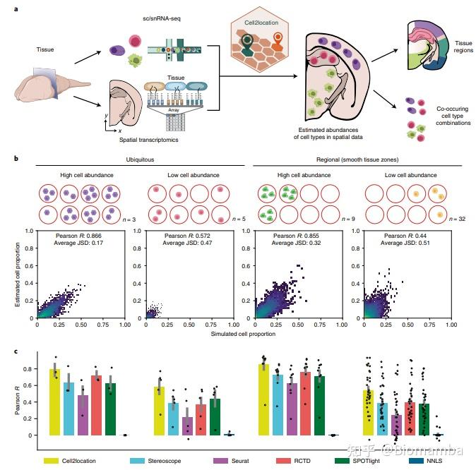 《NBT》| Cell2location注释空间数据细胞 - 知乎