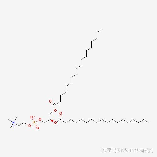 DSPC； 磷酸胆碱 - 知乎