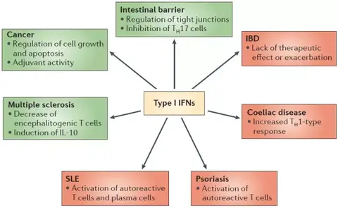 干扰素β(Interferon-β,IFN-β) - 知乎
