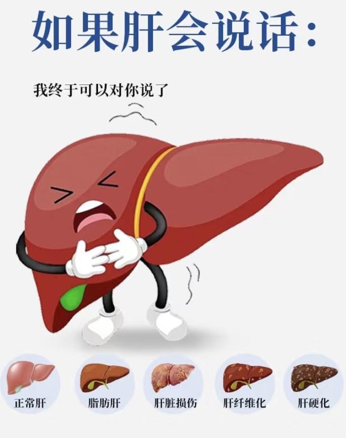 怎么判断自己需不需要护肝？成分党教你2025年护肝片怎么选才真正有效？附SW*SSE、汤*健、维特健灵、won*lab四大品牌成分解析 - 知乎