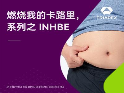 减脂保肌，INHBE 有态度，KBI 有招数 - 知乎