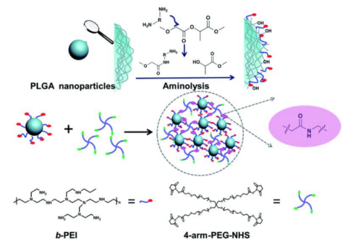 DPPE-PEG-CRGD磷脂-聚乙二醇-CRGD多肽 - 知乎