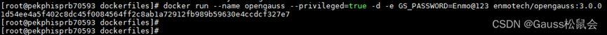 使用Docker部署openGauss - 知乎