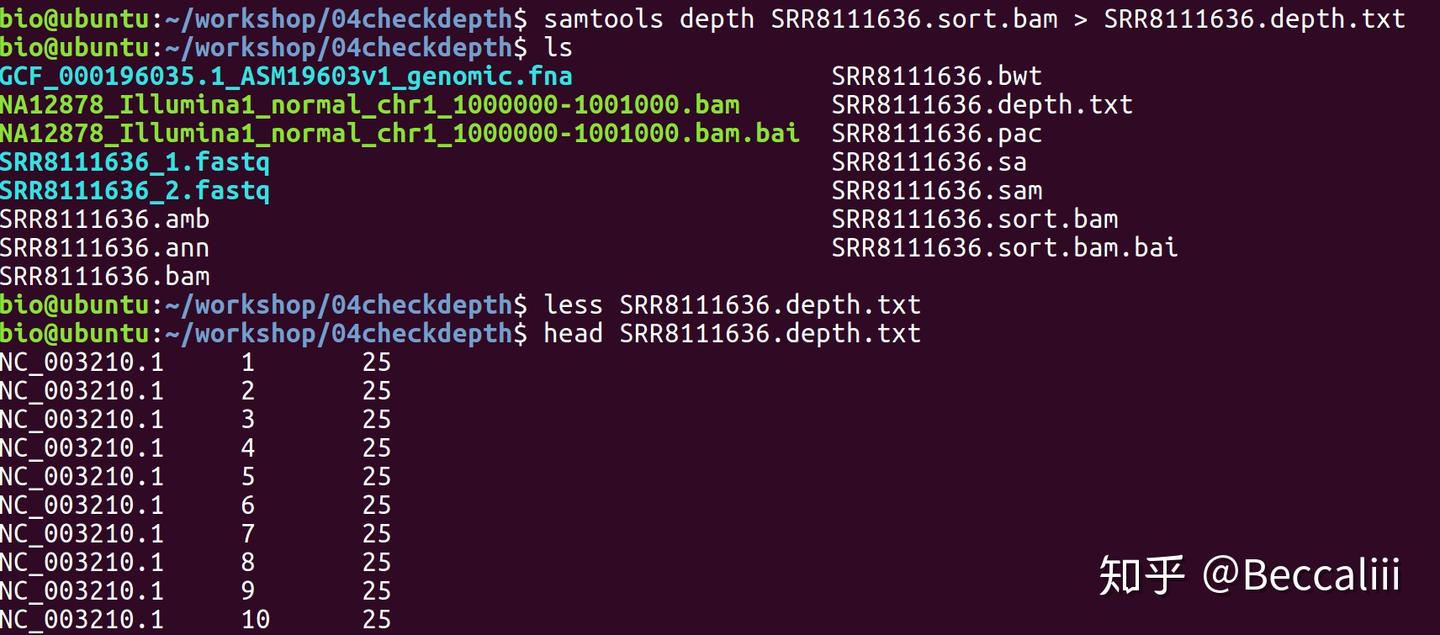 fastq、bam文件与测序深度查询 - 知乎