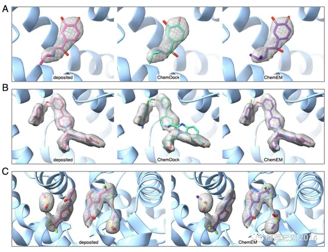 ChemEM 提升小分子与 cryo-EM 图谱对接的精度 - 知乎