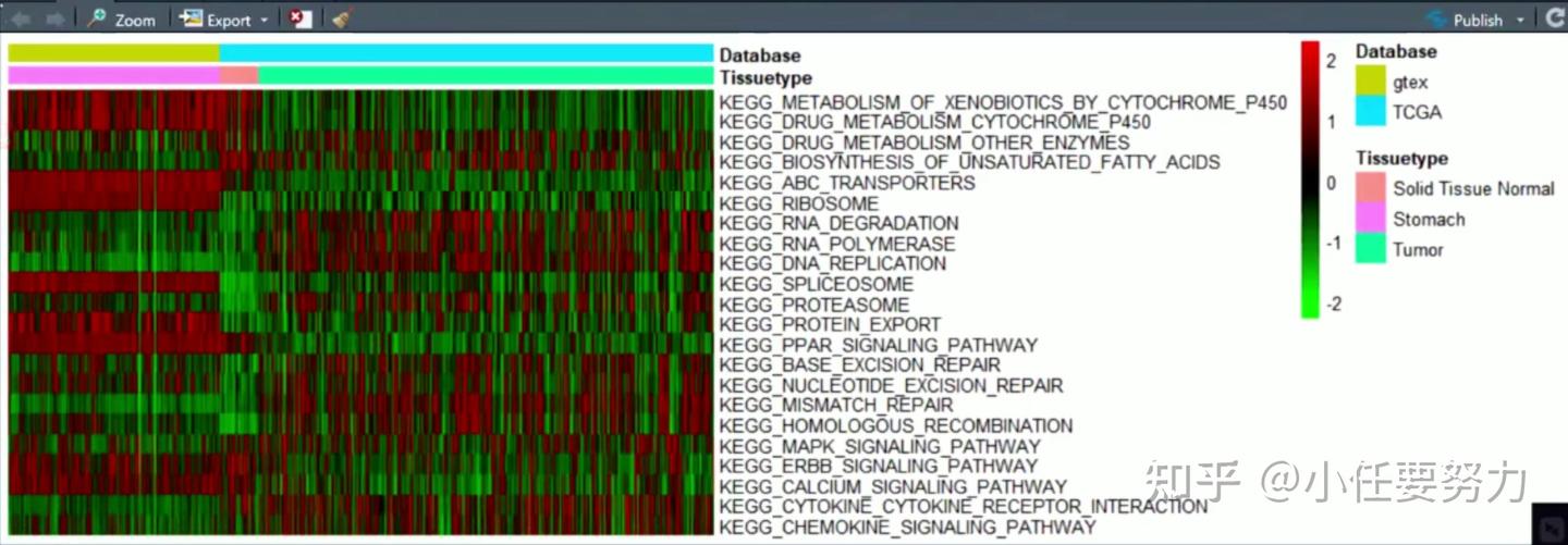 第三课：TCGA 数据下载&GSVA算法分析 - 知乎