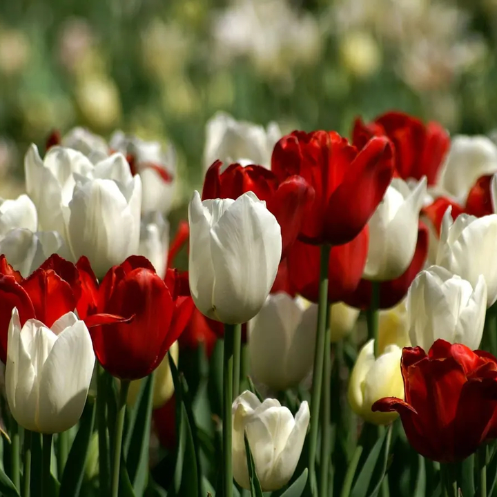 66666666666666666666 - 知乎