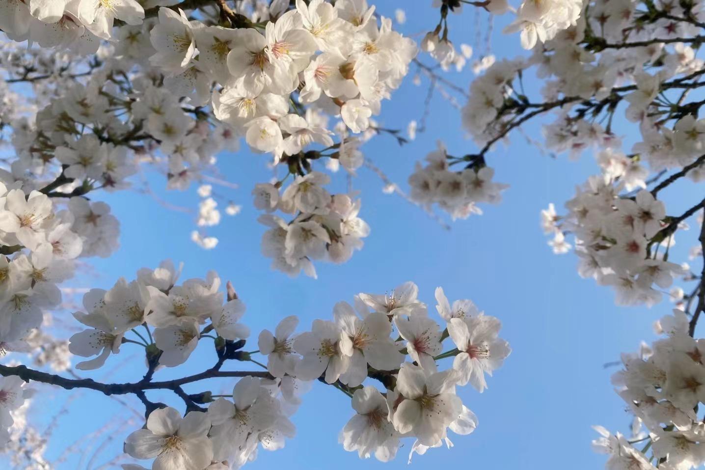 法律词意辨析之Parricide、Patricide和Parenticide - 知乎